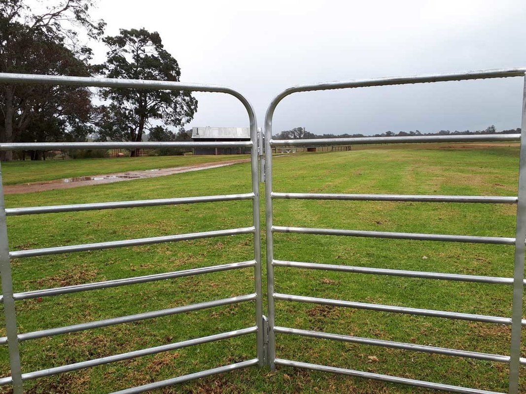 2.9mx1.25m Heavy Duty Steel Economy Pastoral Portable Sheep Yard Panels ...