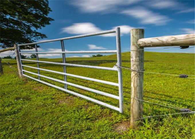 ISO-2001 Anticorrosive Agricultural 12ft Galvanised Field Gate With Hinge