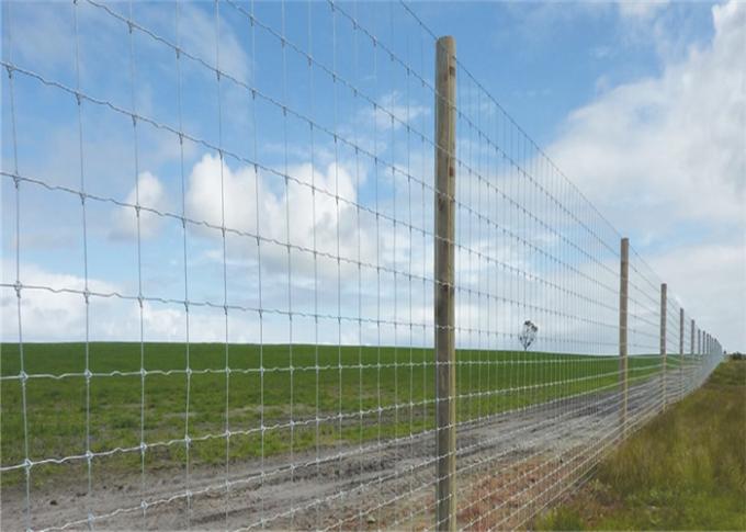 Galvanized High Tensile Livestock Wire Cattle Fencing 50m 100m Length
