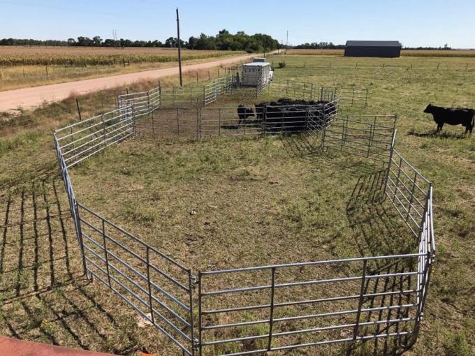 Oval Pipe Portable Horse Corral Panels Easily Assembled