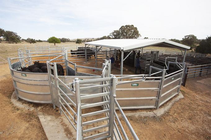 Pins Connections 1.8x2.1m Heavy Duty Cattle Panel For Farm Livestock Corral