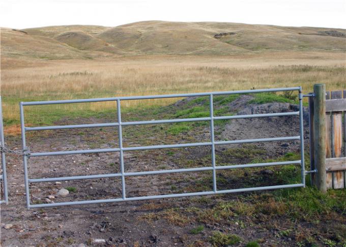 Fully Welding 16 Foot Livestock Metal Gate With Lock 42Inch 70.5inch Height